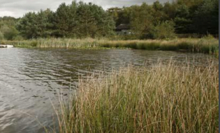 Restoration of a former quarry for agricultural use - Aggregates Europe
