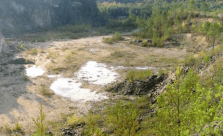 To assess the relevance of quarries for the creation of wetlands, to ...
